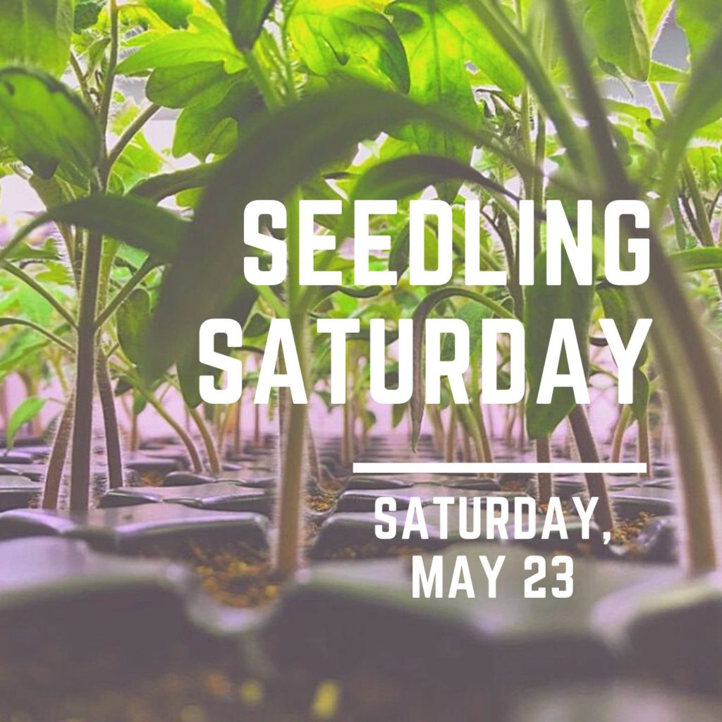Just Food - Sustainable Food and Farming in Ottawa, Ontario