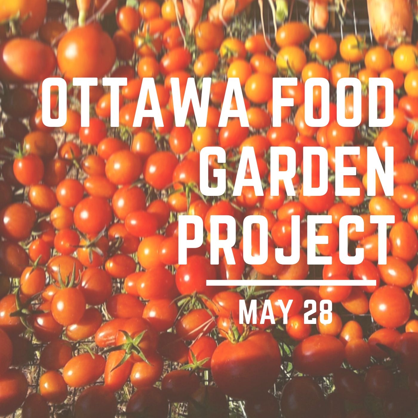 Ottawa Food Garden Project - Just Food